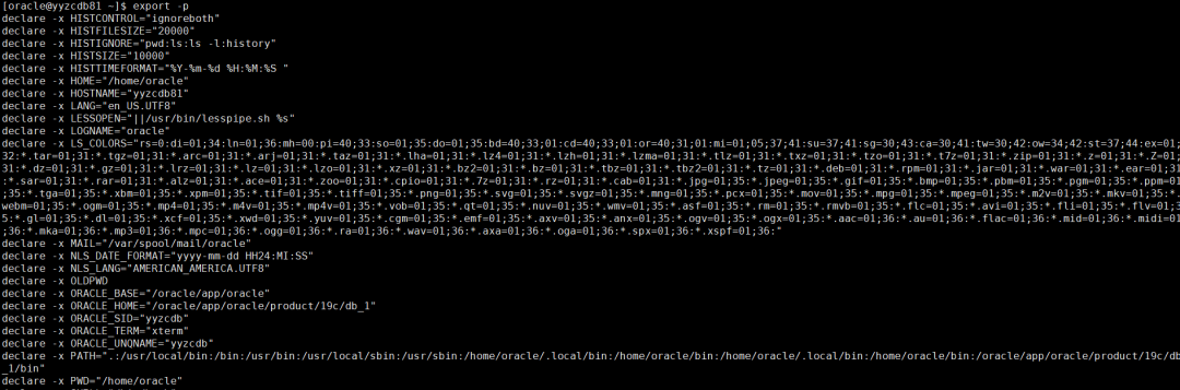 Linux export命令：环境变量的设置与管理_linux .bashrc export-CSDN博客