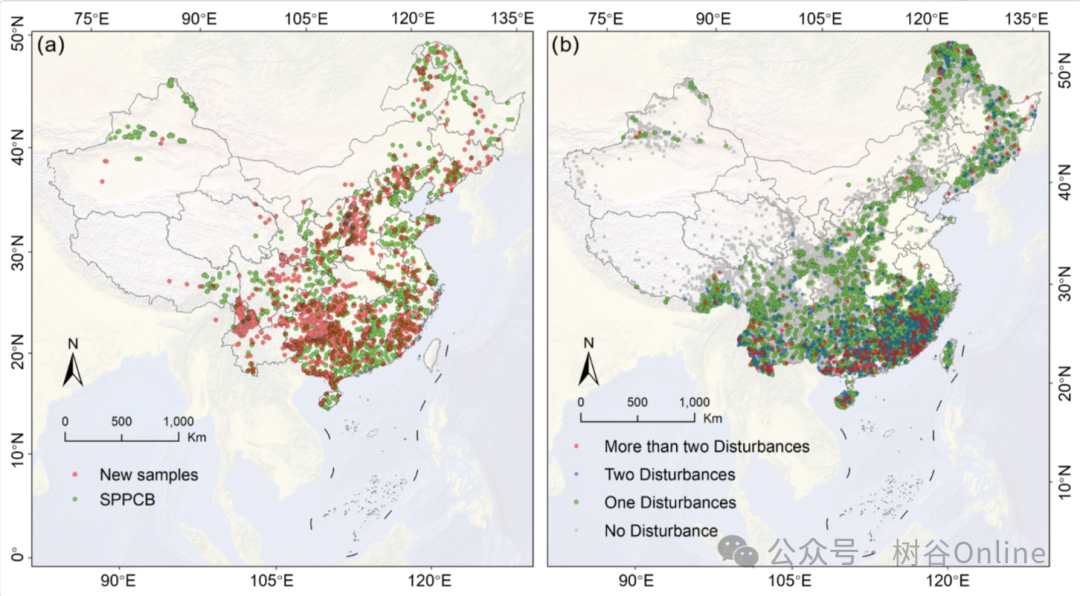 1986–2022年中国（年尺度/30米分辨率）森林年龄空间分布栅格数据_森林年龄分布数据集-CSDN博客