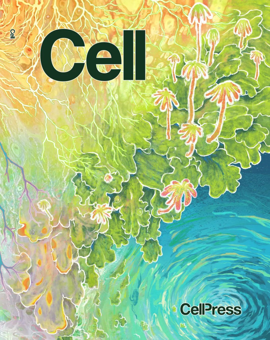 Cell | 王二涛研究组在植物区分共生与病原微生物机制的研究中取得重要进展-CSDN博客