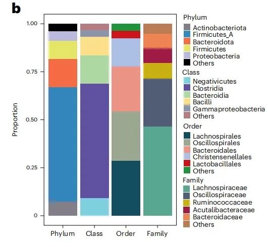 MicrobiomeStatPlot |不同分类级别堆叠柱状教程Multi-levels StackPlot-CSDN博客