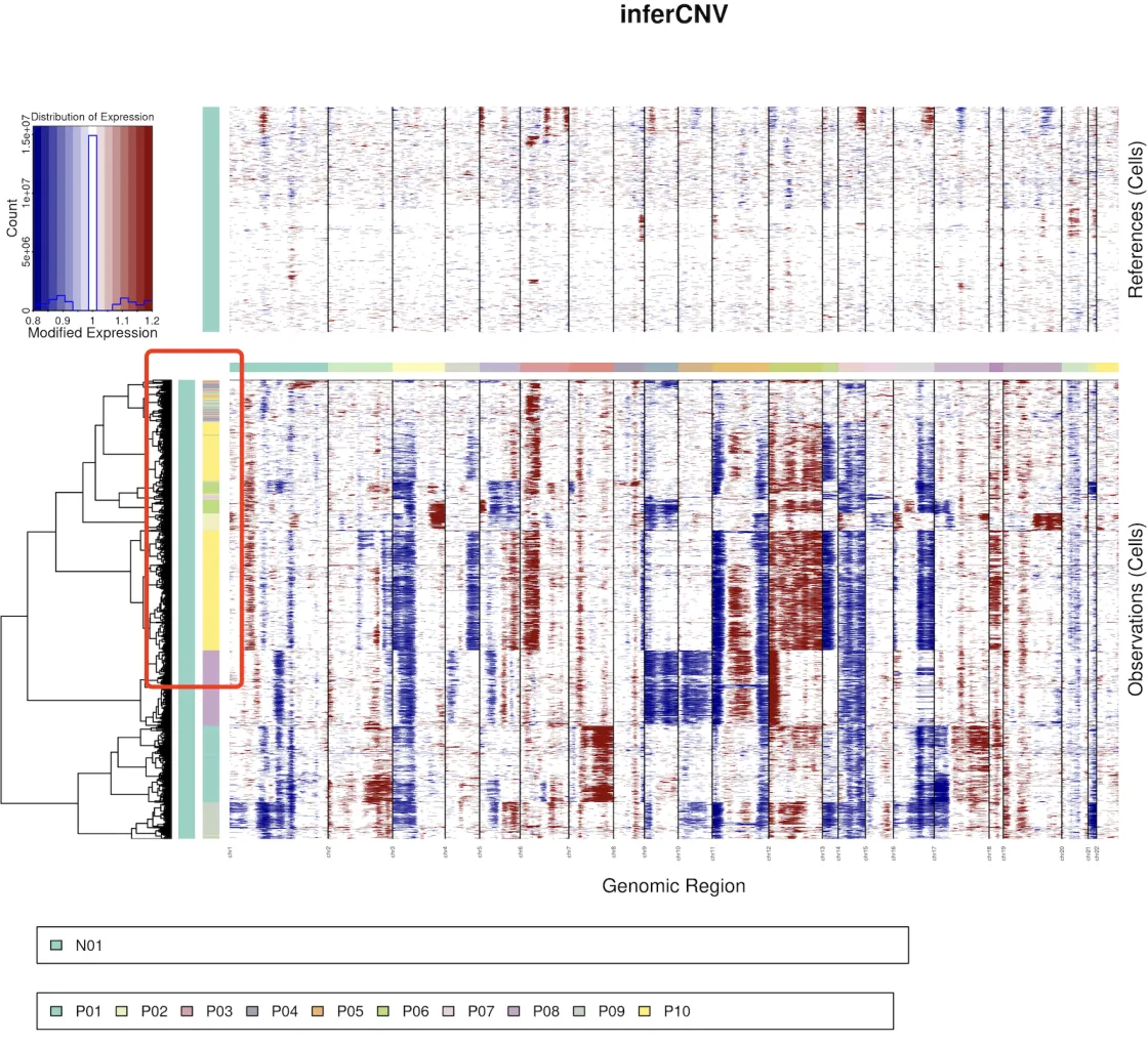 单细胞实战之inferCNV——入门到进阶(中级篇3）-CSDN博客