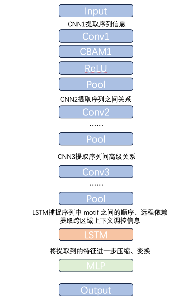 【生物大模型文章精读五】Nvwa模型精读——从基因组到单细胞表达 模型与训练篇-CSDN博客