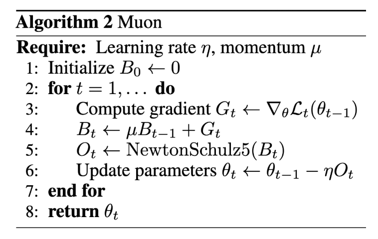 从Adam到Muon：大模型训练优化器的进化与收藏指南！-CSDN博客