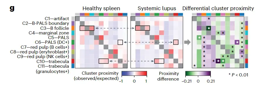 内容复习---空间邻域差异分析（高精度平台和低精度平台）_cellcharter-CSDN博客
