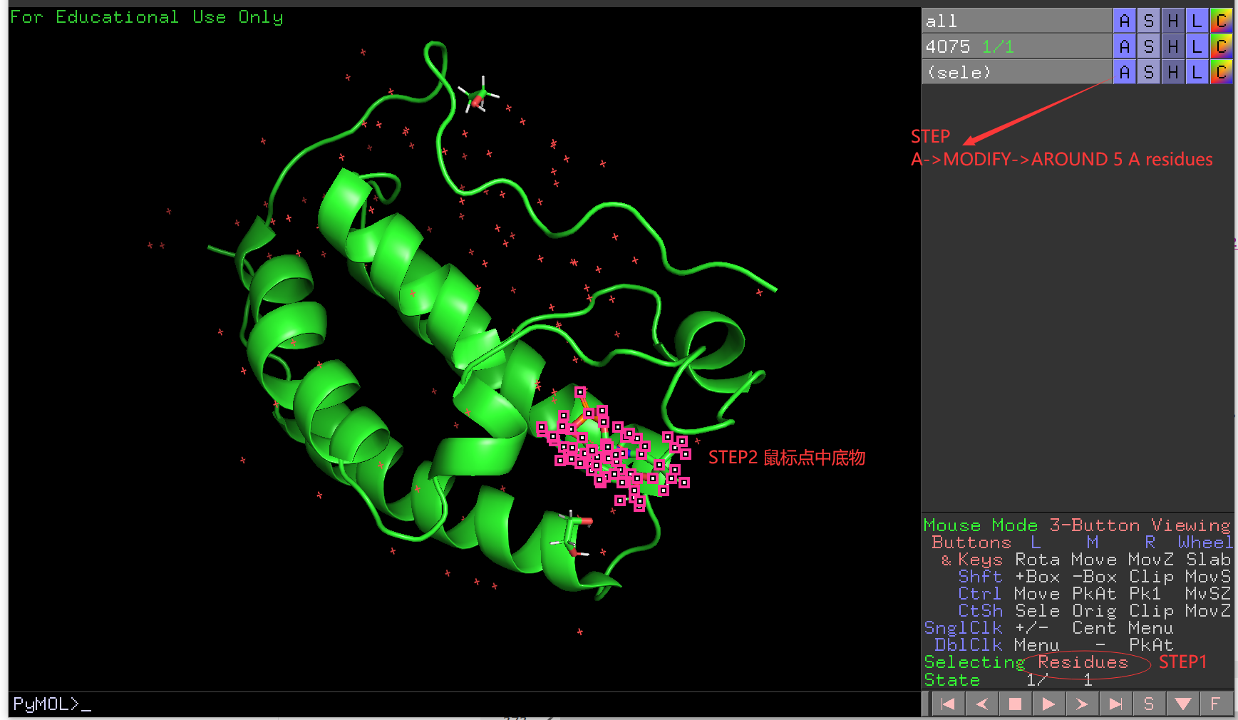 pymol-FAQs-5：_pymol怎么显示氨基酸的名字-CSDN博客