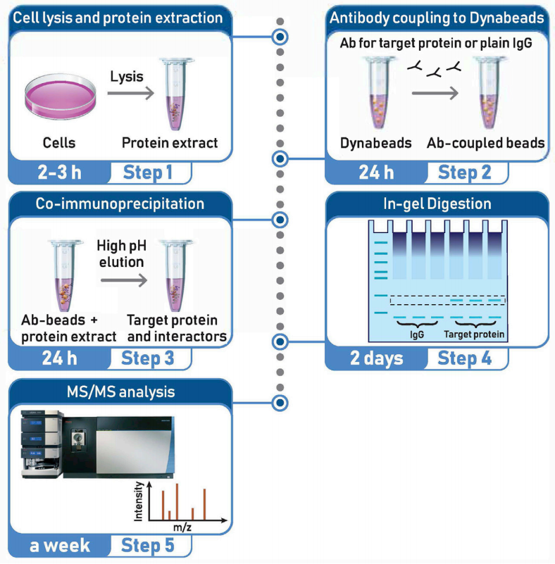 IP-MS实验详情及送样要求大揭秘_ip-ms如何送样-CSDN博客