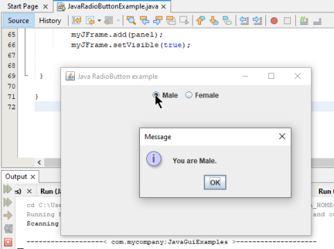 Java JRadioButton with ActionListener Example using Netbeans-CSDN博客