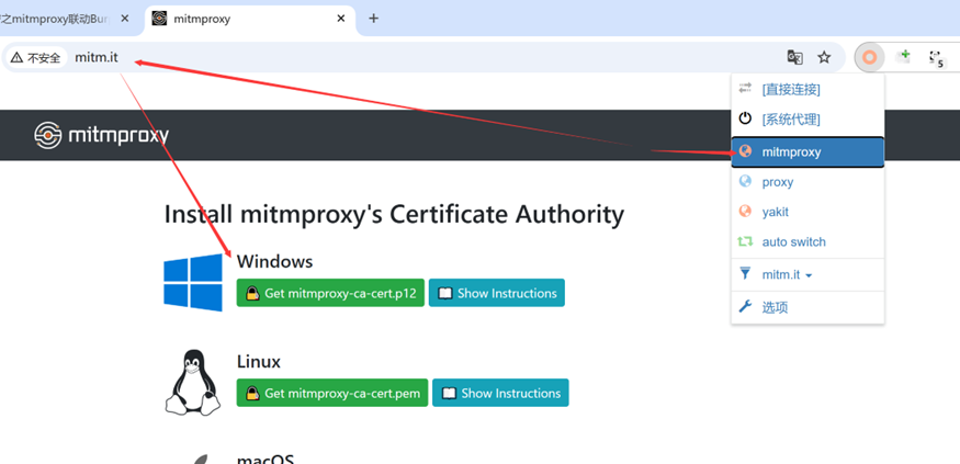mitmproxy前端加解密测试_mitmproxy设置上下游代理-CSDN博客