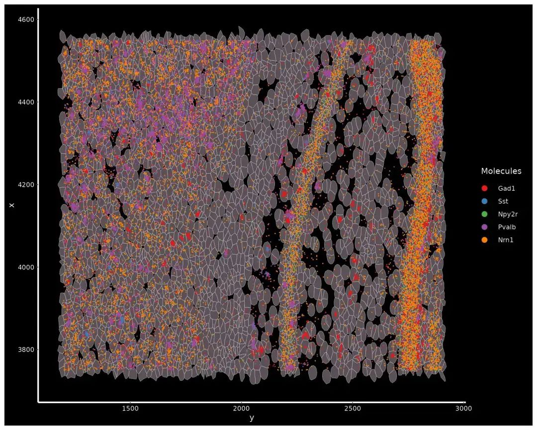 必看！Seurat赋能 Xenium空间转录组学分析全攻略-CSDN博客