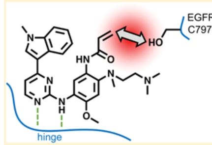 EGFR-TKI耐药突变机制及应对策略进展_egfr 耐药突变机制-CSDN博客