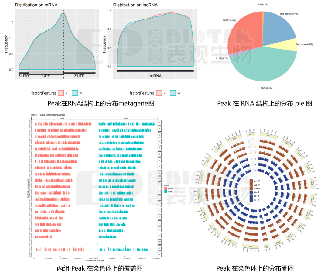 RNA m6A修饰免疫沉淀建库试剂盒：Epi™ m6A Immunoprecipitation Kit_m6a建库-CSDN博客
