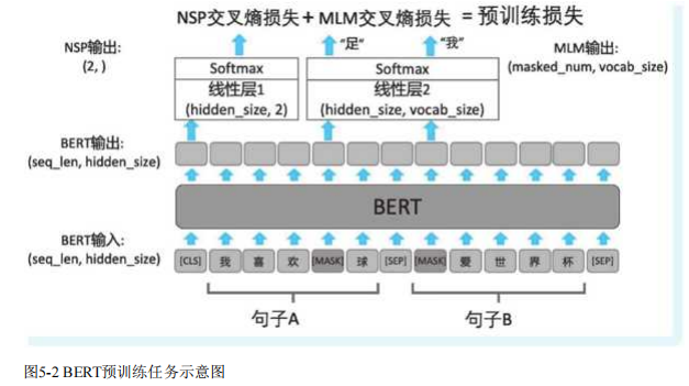 【万字详解】BERT模型总体架构与输入形式、预训练任务、应用方法_bert模型结构-CSDN博客