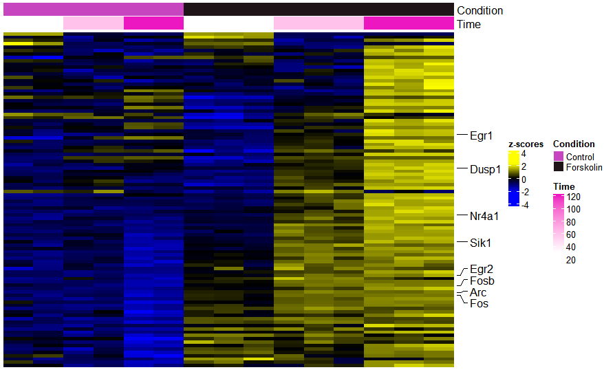 sechm包：简化ComplexHeatmap热图绘制-CSDN博客