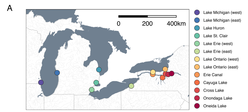 PNAS | eDNA 技术在入侵生物研究中的突破性应用-CSDN博客