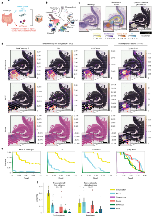 《NBT》| Cell2location注释空间数据细胞_cell2location解卷积多样本怎么做-CSDN博客