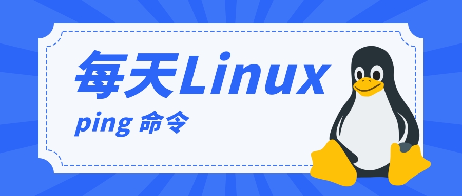 每天一个 Linux 知识：网络诊断工具 Ping-CSDN博客