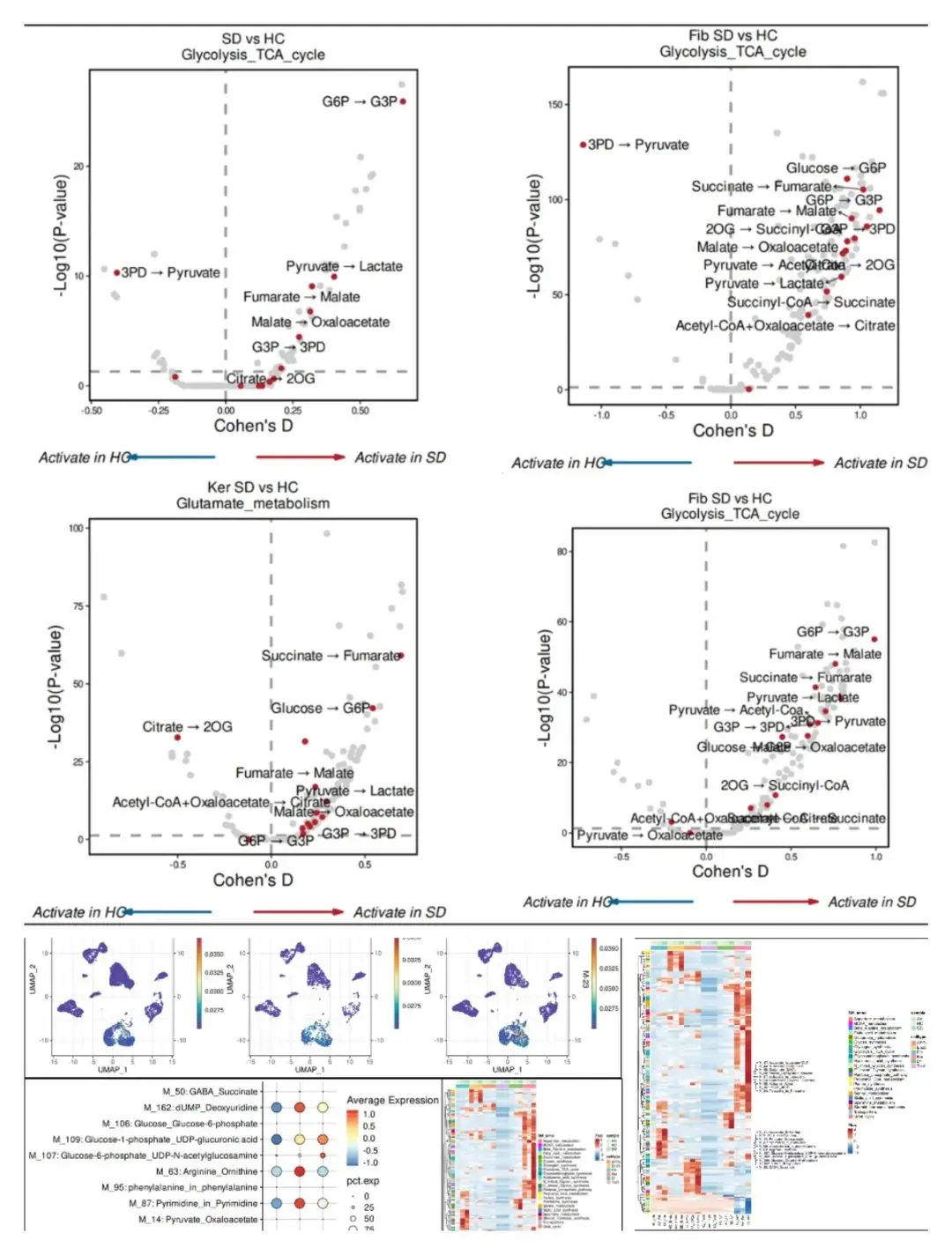 scFEA：单细胞转录组代谢通量分析-CSDN博客