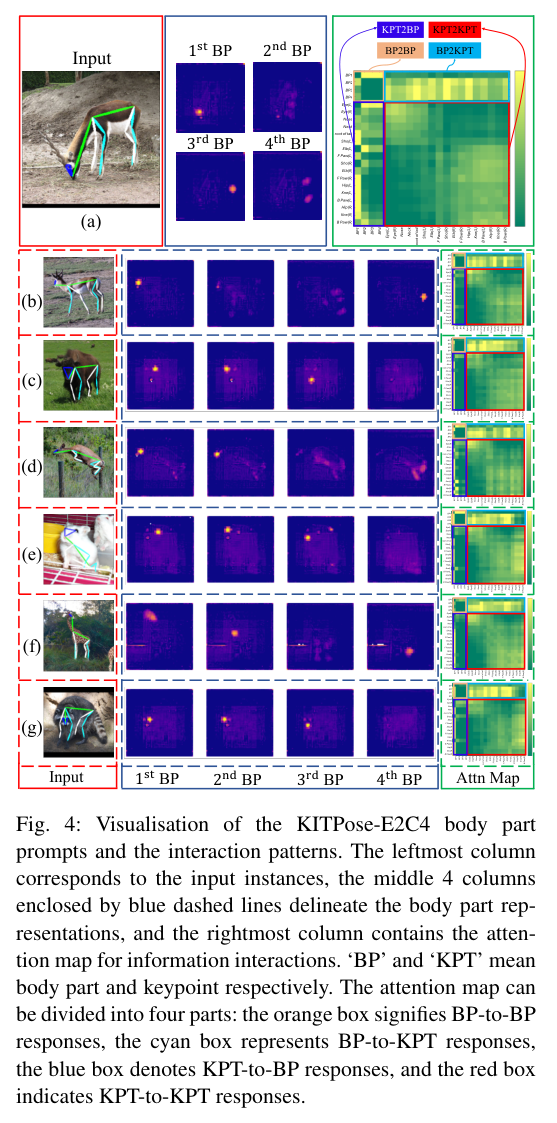 哺乳动物姿态估计：Learning Structure-Supporting Dependencies via Keypoint Interactive Transformer for ...