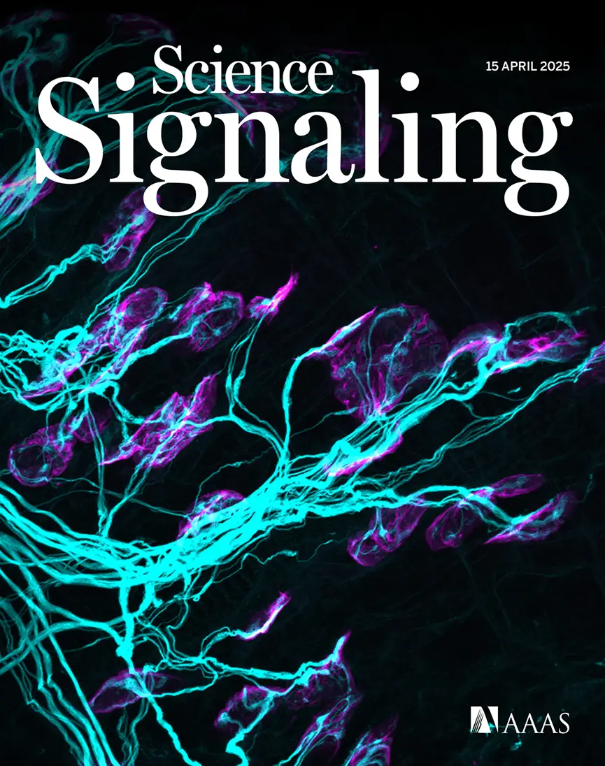 《Science》家族全揭秘！7大顶刊覆盖哪些前沿领域？一文读懂选刊攻略_science有哪些期刊-CSDN博客