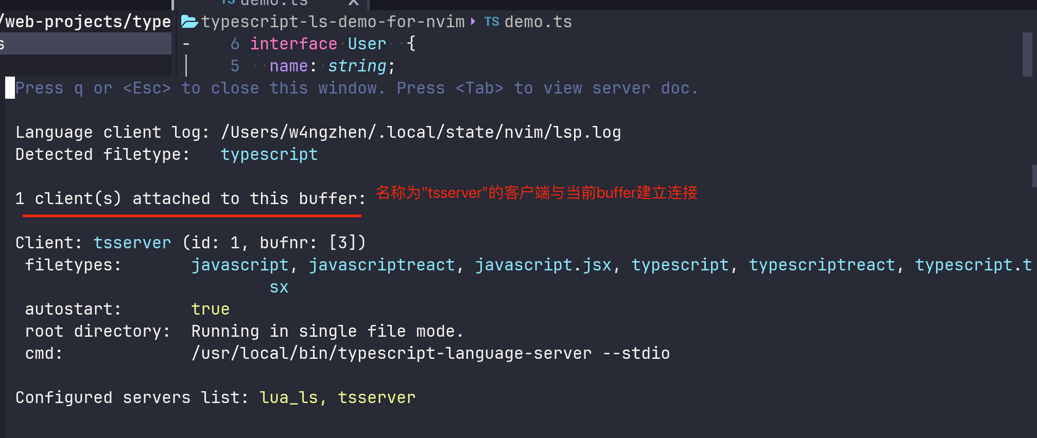 详解nvim内建LSP体系与基于nvim-cmp的代码补全体系-CSDN博客