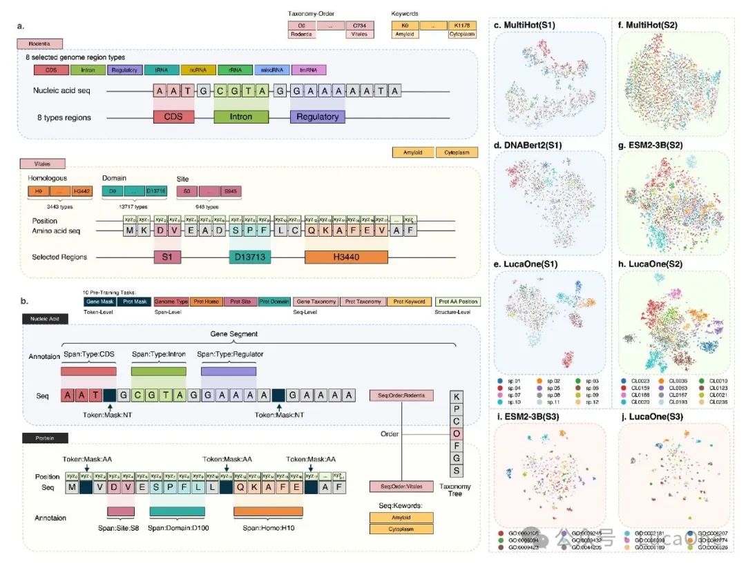 Luca系列又一力作：LucaOne登上国际顶级期刊Nature Machine Intelligence-CSDN博客