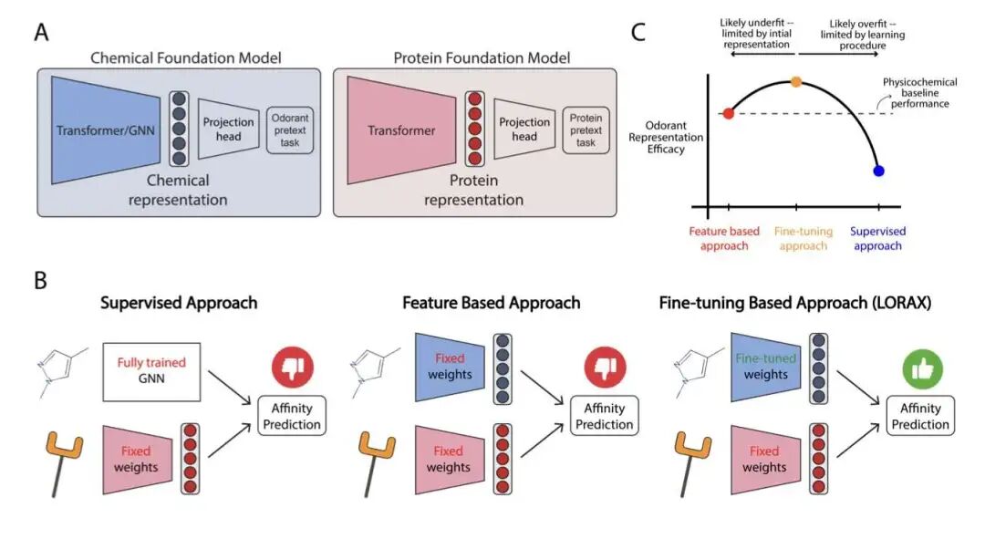 AIDD-人工智能药物设计-eptide2Mol：AI 直接生成模拟多肽的小分子，用于靶向蛋白质结合-CSDN博客