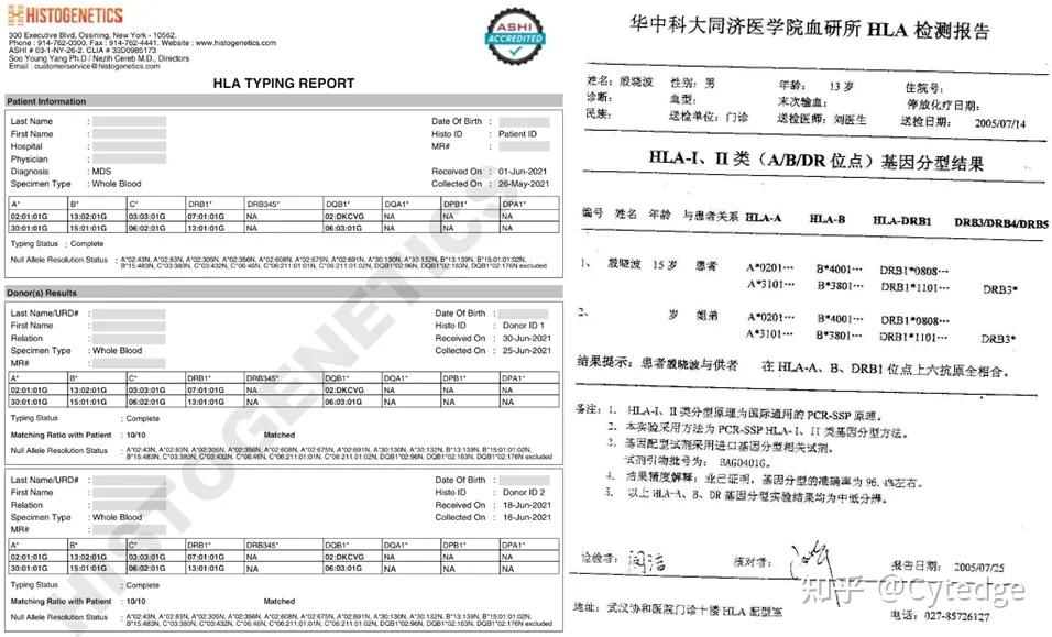 NK细胞的HLA和KIR的配型_kir b型-CSDN博客