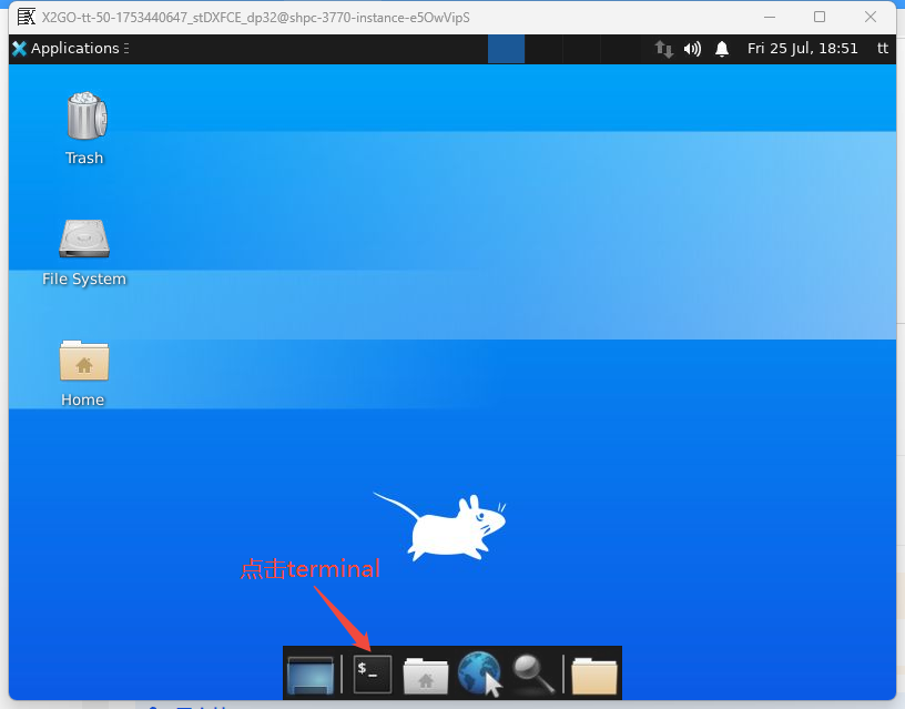 服务器使用Cellpose快速入门指南-CSDN博客