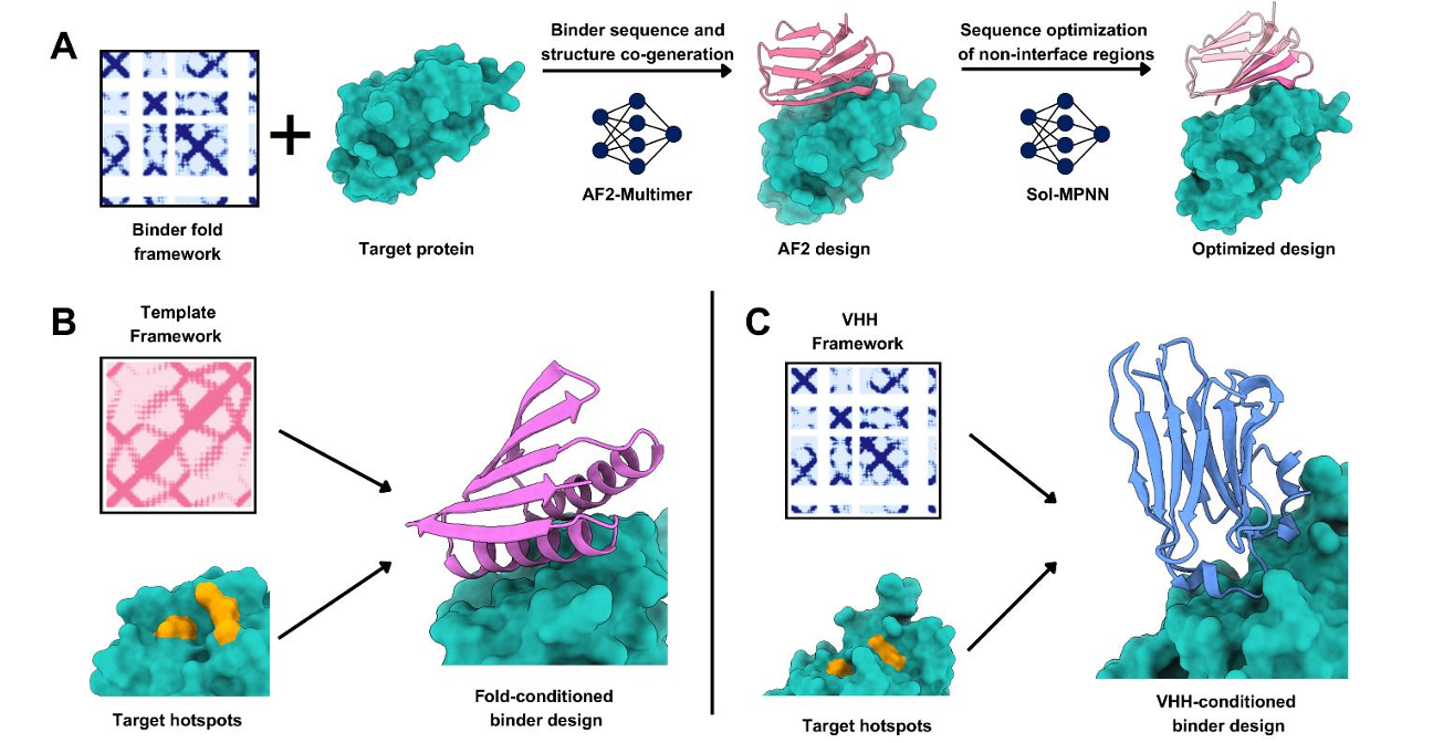 谈谈 “后BindCraft时代” 的蛋白幻觉设计模型_bindcraft硬件需求-CSDN博客