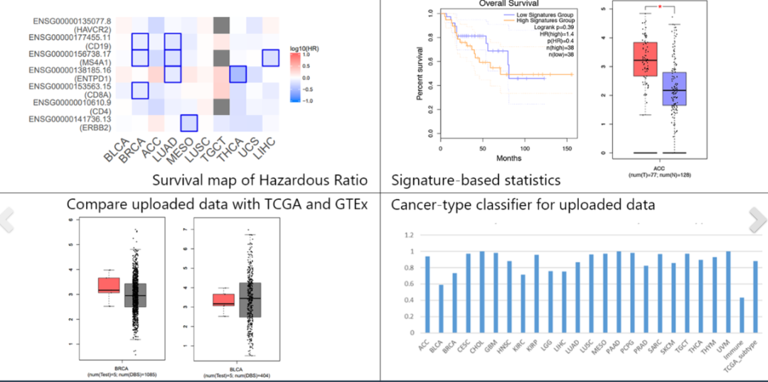 RNA 51.轻松搞定TCGA/GTEx基因表达谱交互分析(GEPIA)-CSDN博客