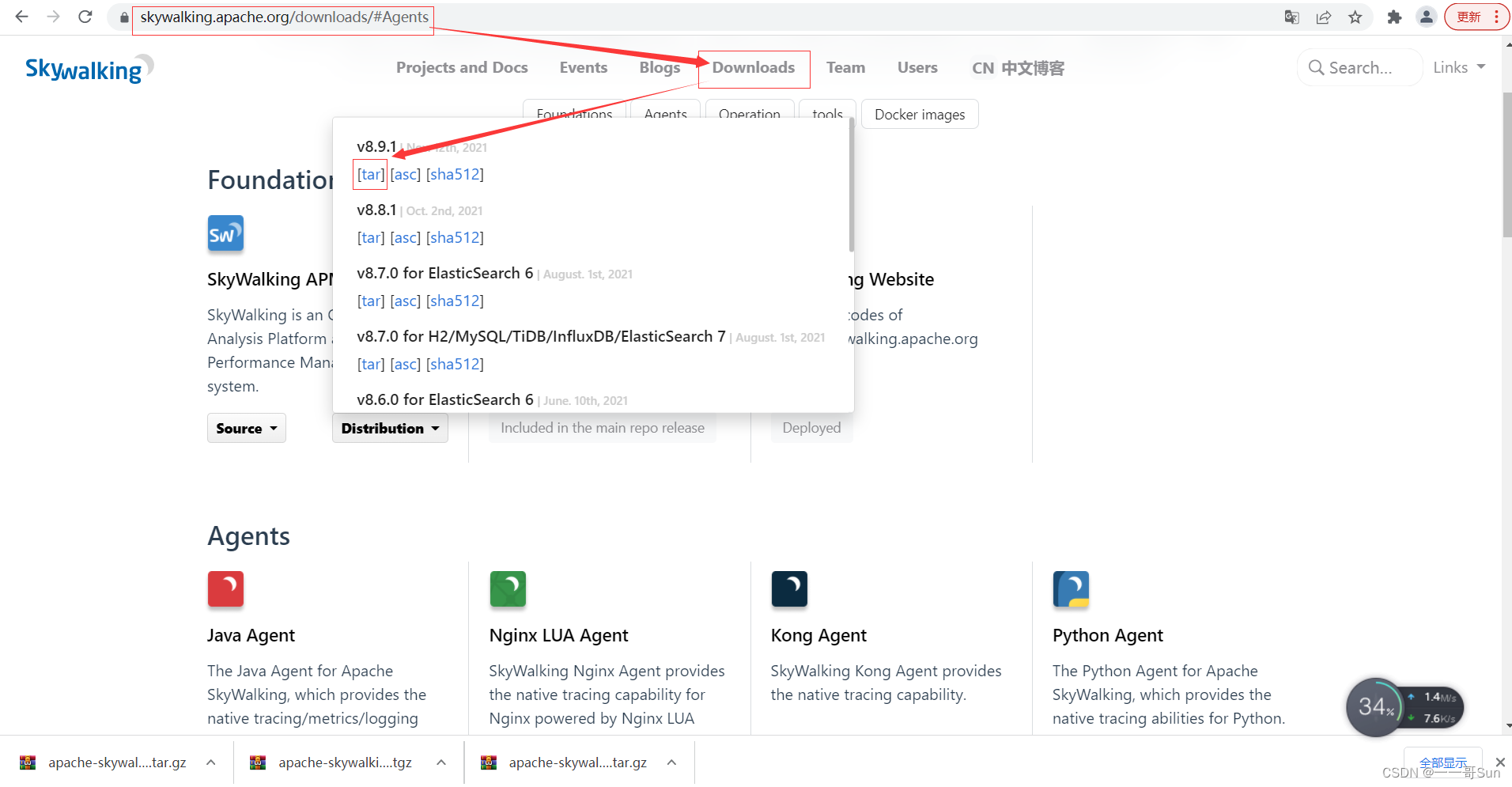 SkyWalking教程_skyworking 安装-CSDN博客