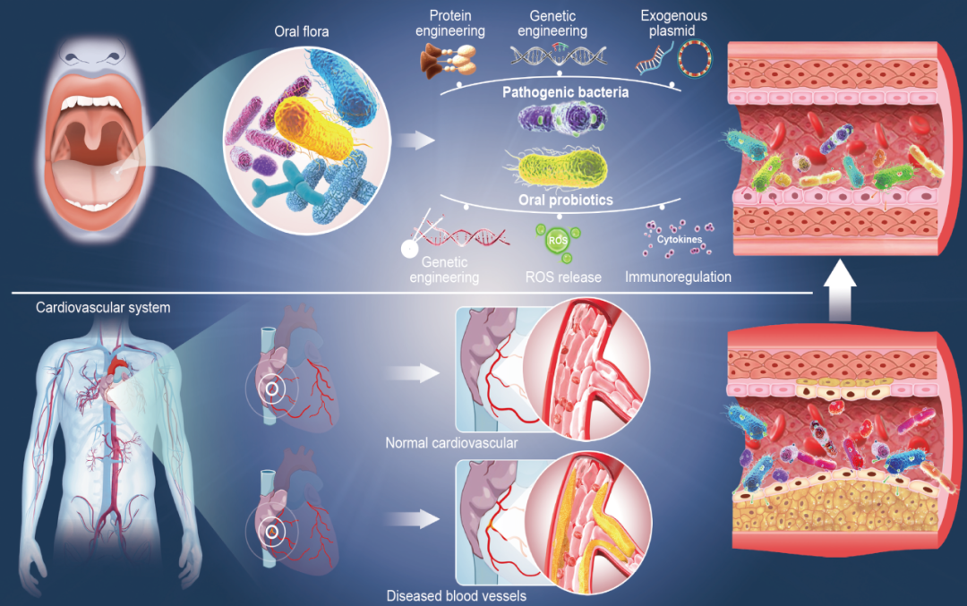 iMeta2023-2025年最高引论文30篇(25.7更新)-CSDN博客