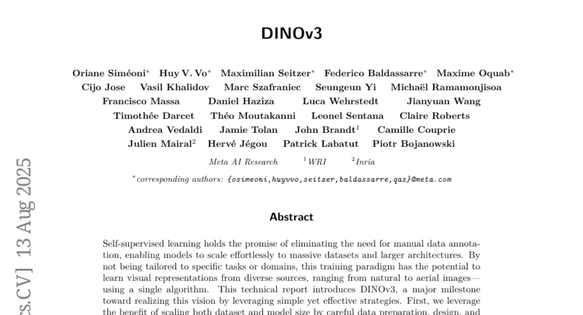Meta AI研究院DINOv3：实现类人视觉识别能力_基于dinov3的行人重识别-CSDN博客