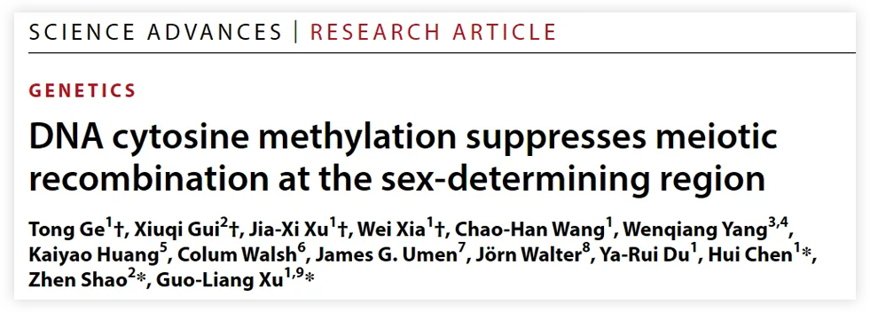 文献速递 | 徐国良/邵振/陈辉合作揭示DNA甲基化抑制性别决定区的减数分裂重组_性别决定sdr 团藻目绿藻 pnas-CSDN博客