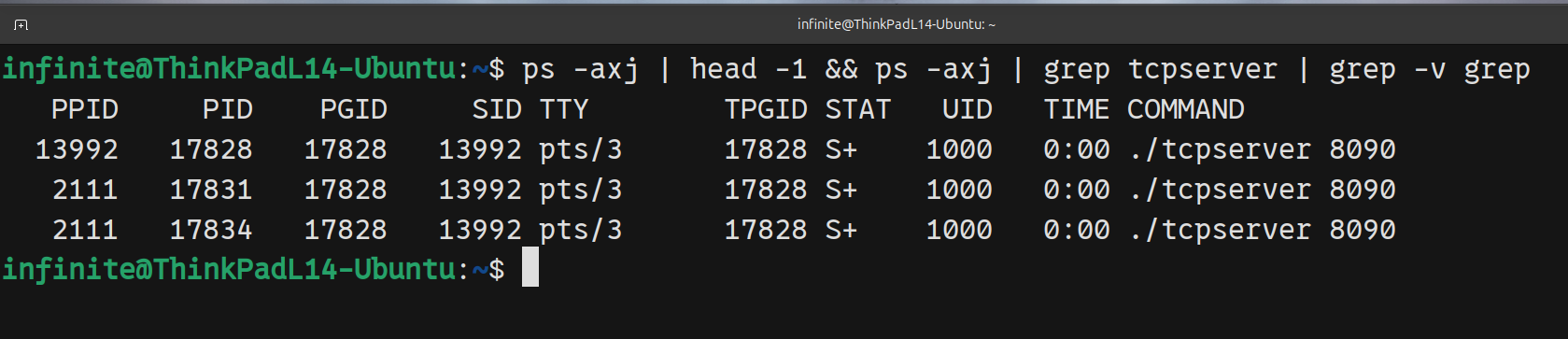 TcpServer：面向连接的可靠网络传输_tcp server-CSDN博客