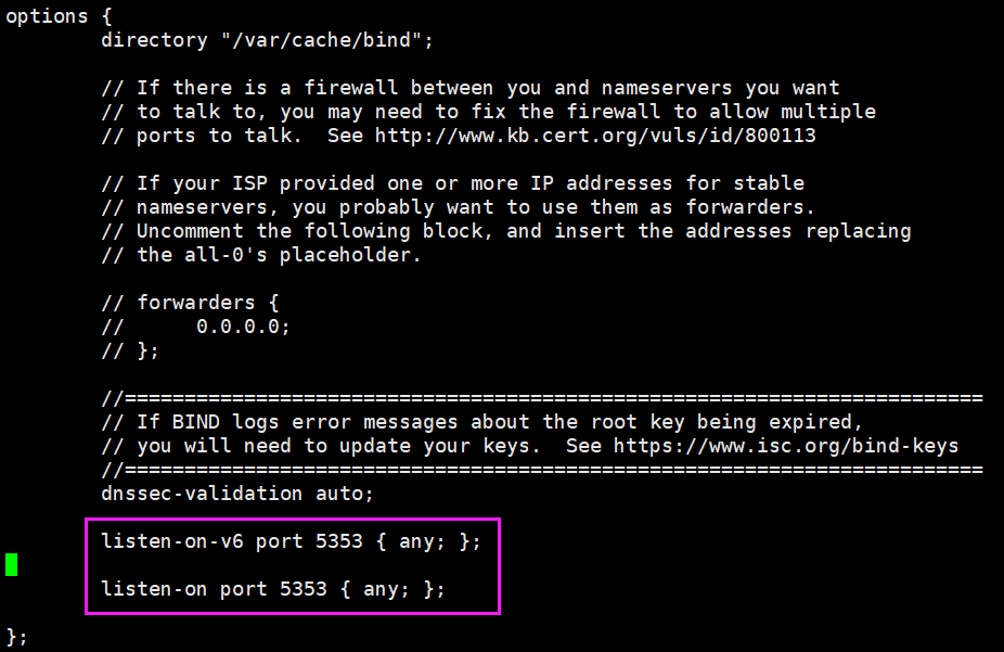 Linux使用Bind搭建DNS服务: 从菜鸟到网络大神的进阶之路[收藏级]_bind dns-CSDN博客