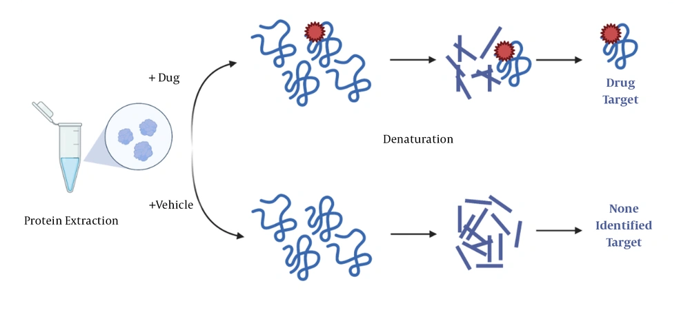 一文了解药物靶点筛选之DARTS技术-CSDN博客