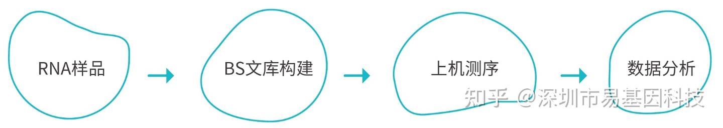 易基因：m5C RNA甲基化测序（m5C MeRIP-seq）_m5c富集的merip-qpcr原理-CSDN博客
