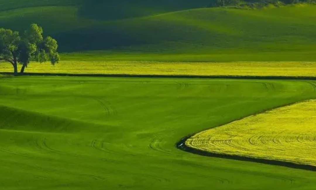 揭秘OpenCV图像处理_opencv hsv-CSDN博客