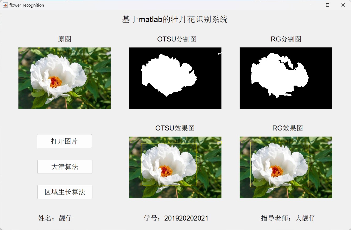基于Matlab的花朵识别系统实战-CSDN博客