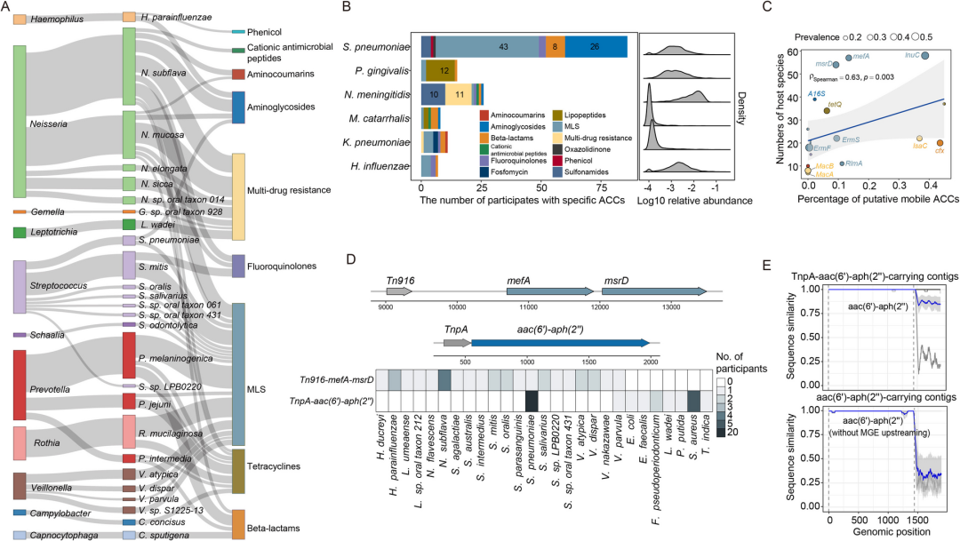 Microbiome | 健康人群呼吸道微生物组和抗生素抗性基因的传播-CSDN博客