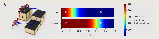 legged-robot关于locomotion、Navigation任务主要文章速览-CSDN博客