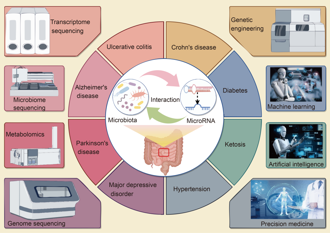 iMetaOmics | 中国农业大学曹志军组-MicroRNA-微生物群互作调控宿主健康-CSDN博客