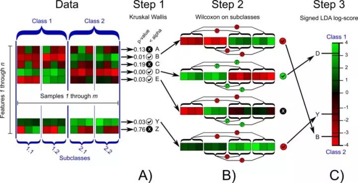 LEfSe分析，你真的懂了么-CSDN博客