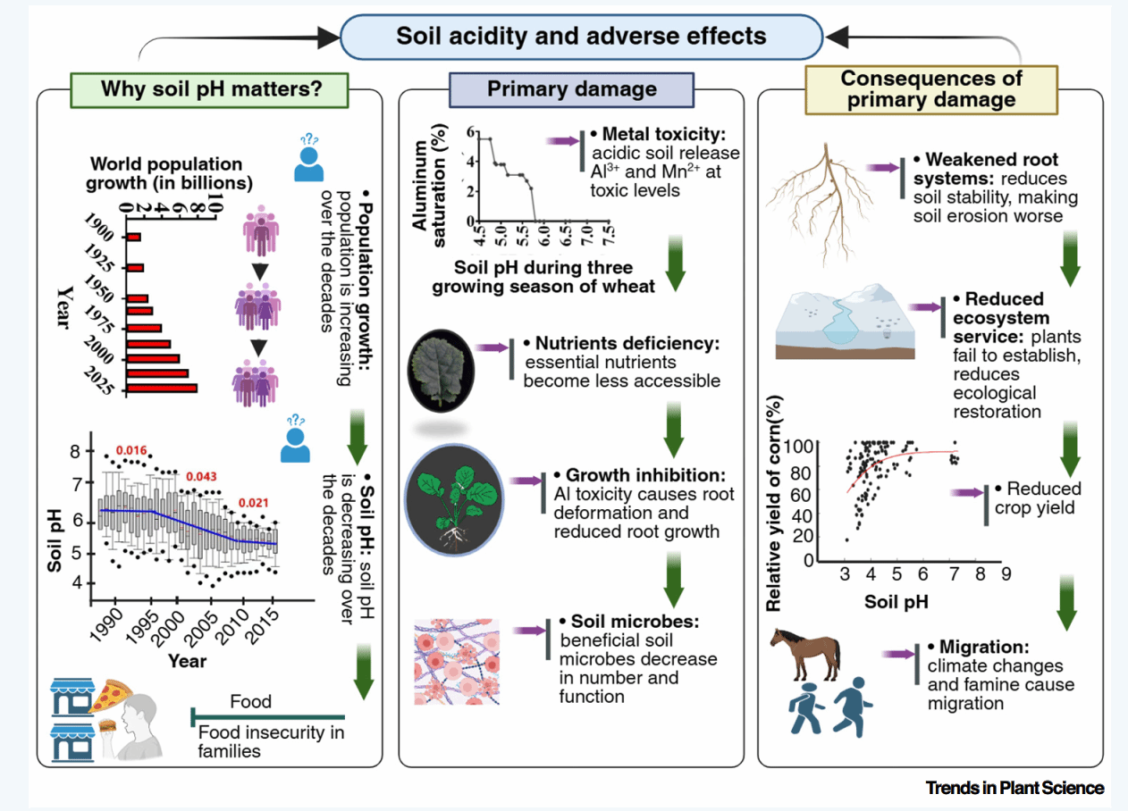华中农大丁广大课题组在中科院一区Top期刊Trends in Plant Science发表论文_trends in plant science发表评述性文章-CSDN博客