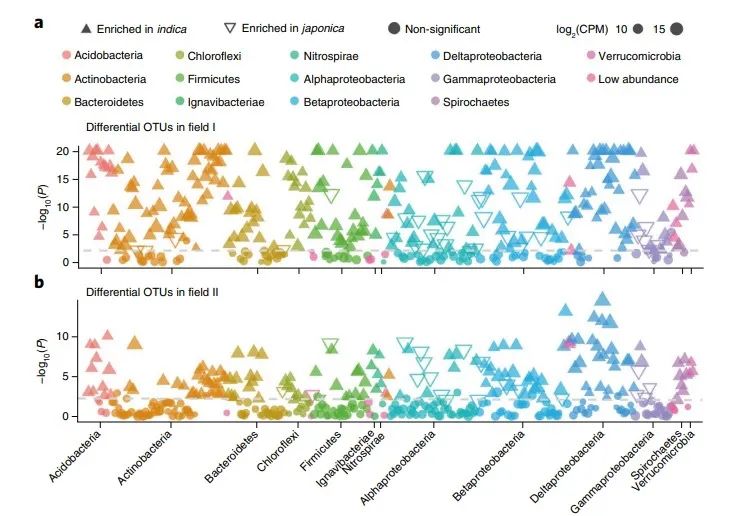 MicrobiomeStatPlots | 曼哈顿图教程Manhattan plot tutorial-CSDN博客