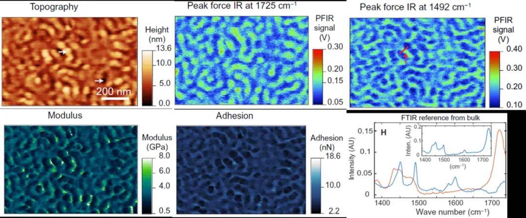 揭开材料表面神奇的“面纱”：原子力显微镜-红外光谱（AFM-IR）技术一探究竟 _afm-ir可以分析纤维表面吗-CSDN博客