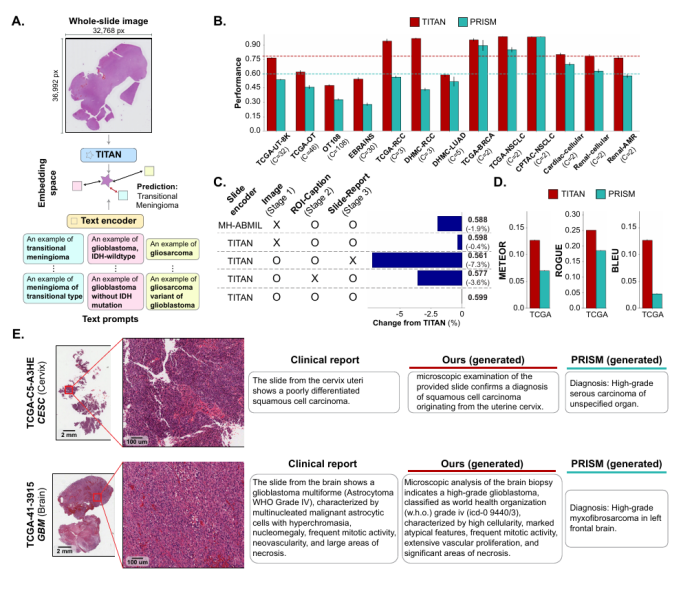 再发布！哈佛医学院又一病理大模型TITAN-CSDN博客