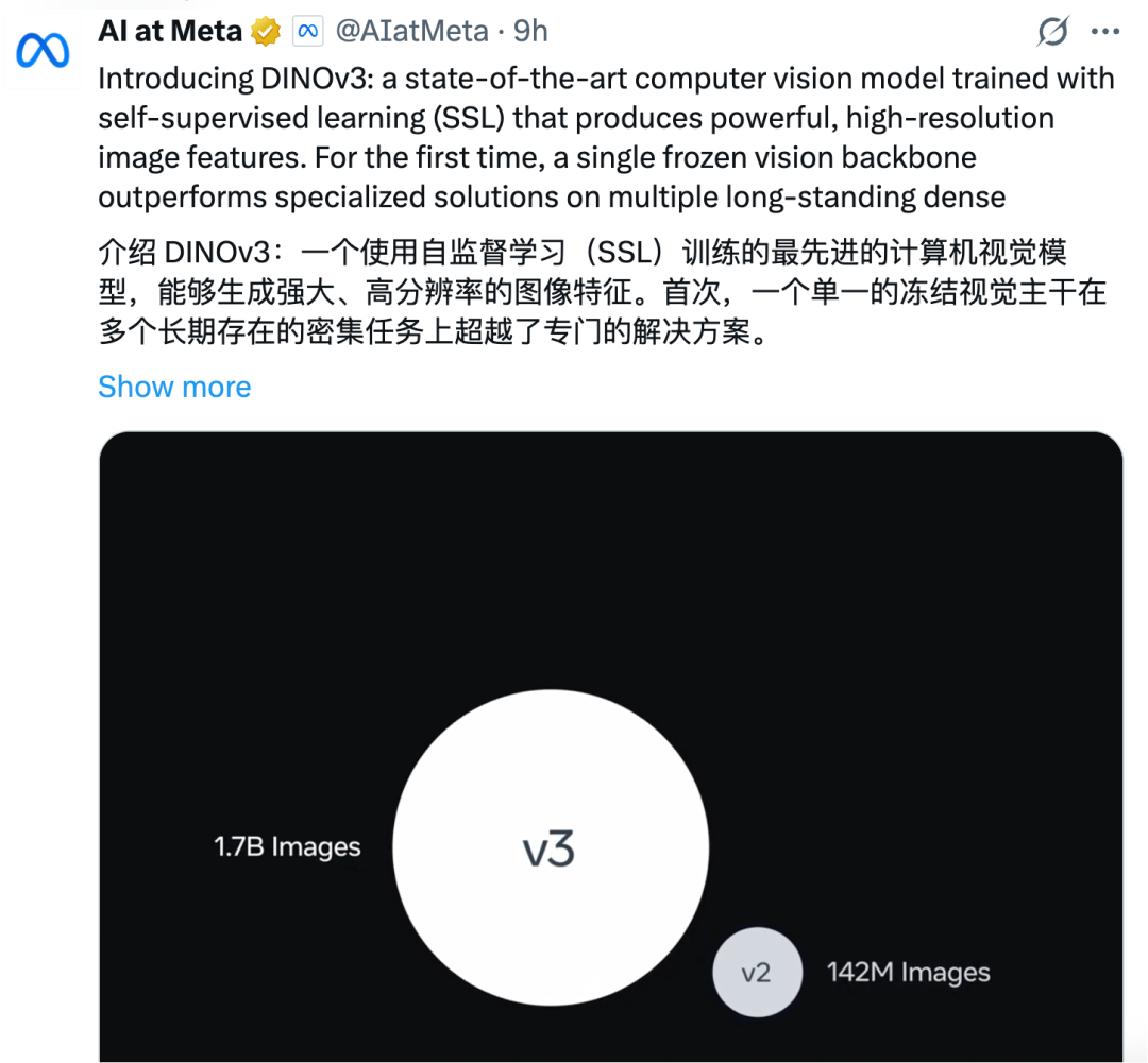 极市平台 | Meta视觉基座DINOv3王者归来：自监督首次全面超越弱监督，商用开源_人工智能_双木的木-DAMO开发者矩阵