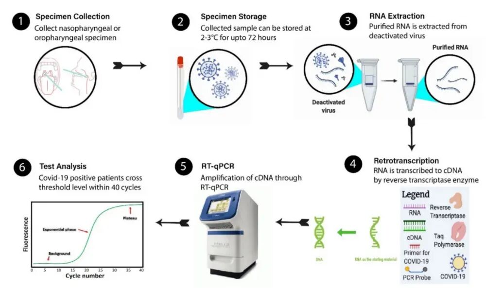 PCR家族科普：PCR、qPCR、RT-PCR、RT-qPCR：还在傻傻分不清？-CSDN博客